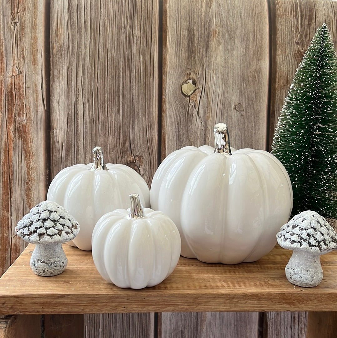 Halloween and Christmas – Next Chapter Gifts UK